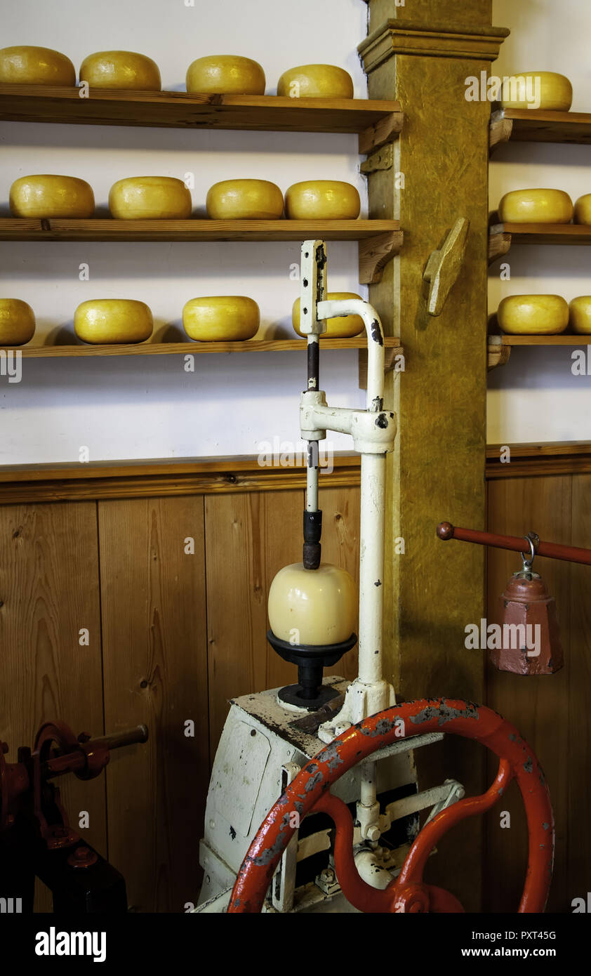 Artisan edam cheese, detail of Dutch cheese making Stock Photo - Alamy
