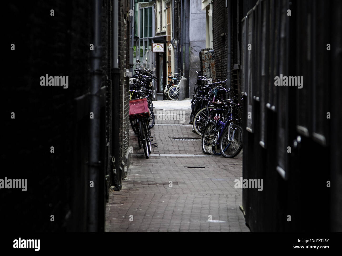 Amsterdam alley, Dutch city street, tourism in europe Stock Photo - Alamy