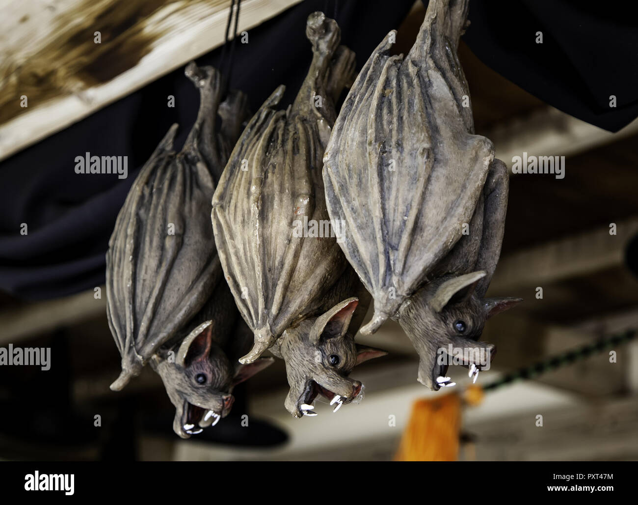Halloween bats, terrifying decoration Stock Photo - Alamy