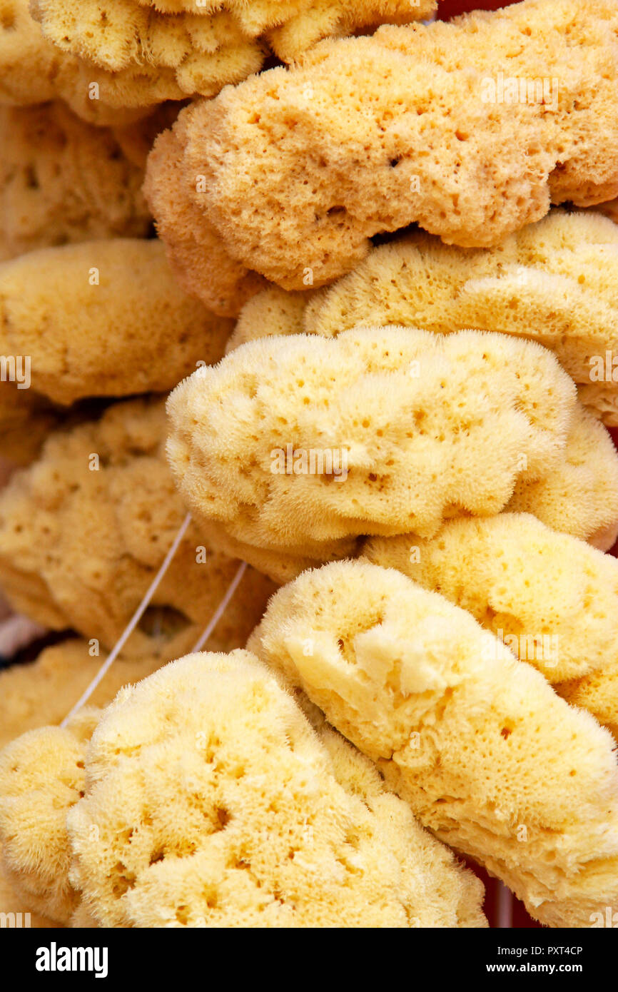 Sponge forms hi-res stock photography and images - Alamy