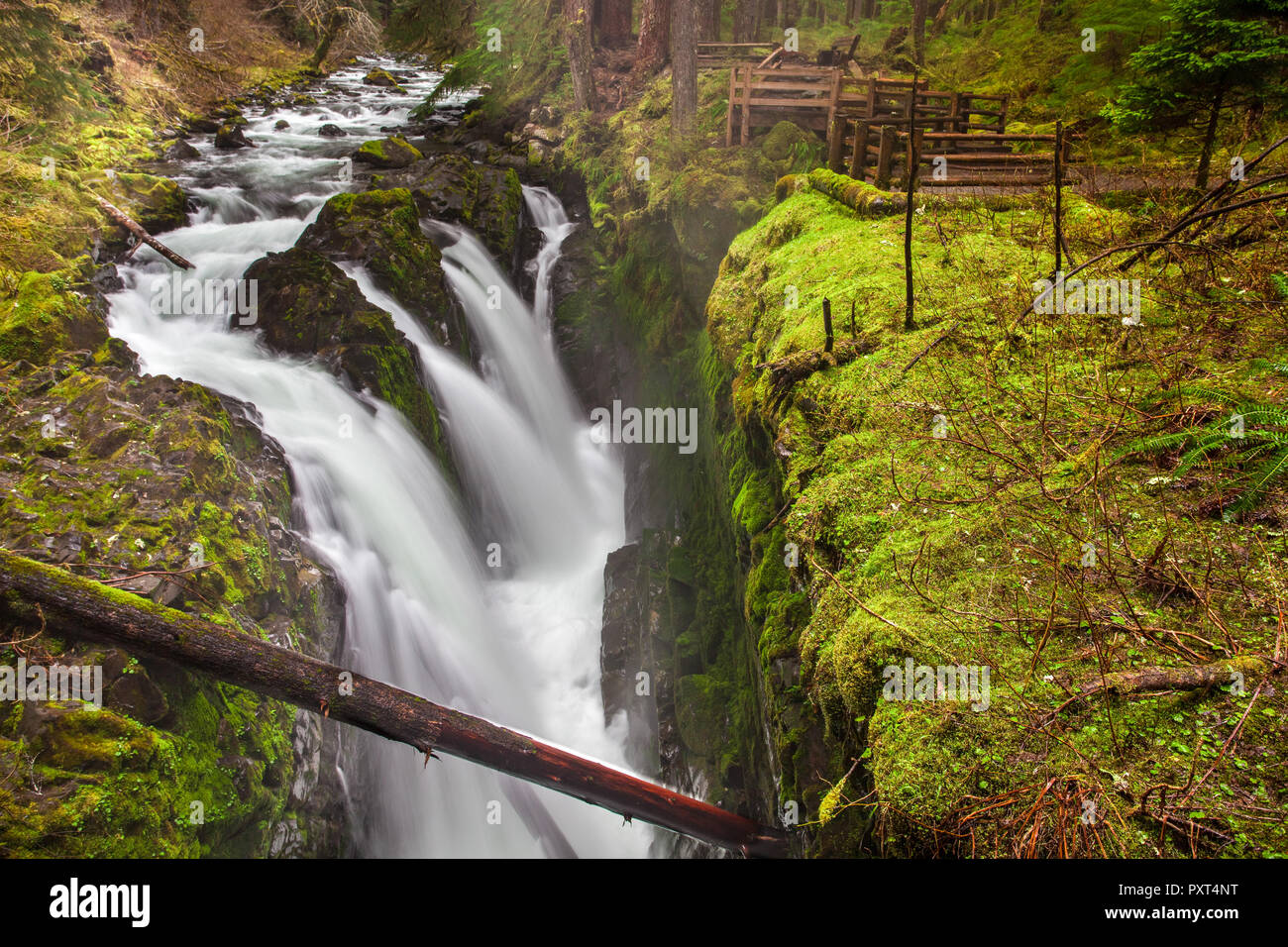 Sol duc hi-res stock photography and images - Alamy