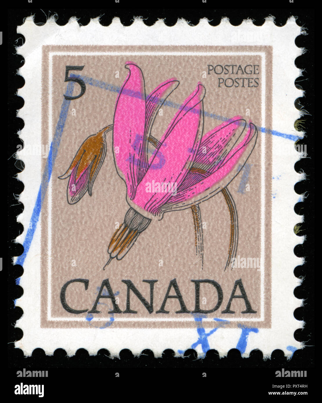 Postmarked stamp from Canada in the Definitives 1977-78 (Flowers ...