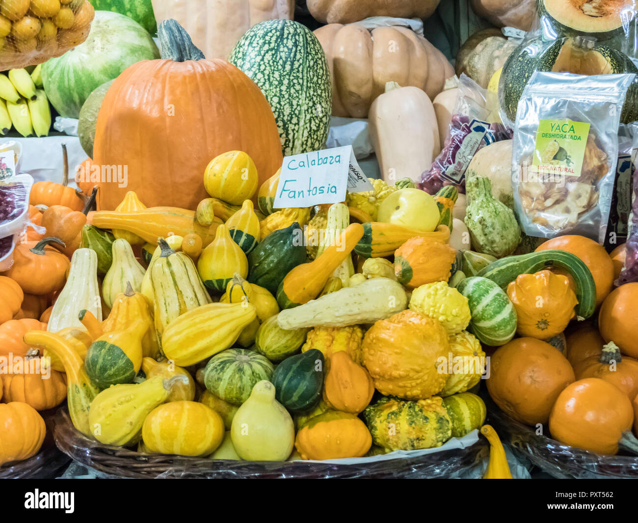 Mexico displayed hi-res stock photography and images - Alamy