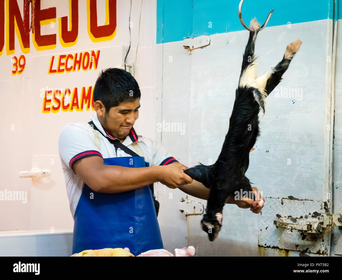 Skinning knife hi-res stock photography and images - Alamy