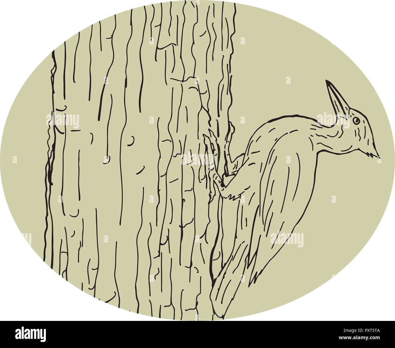 Drawing sketch style illustration of a woodpecker pecking on tree trunk ...