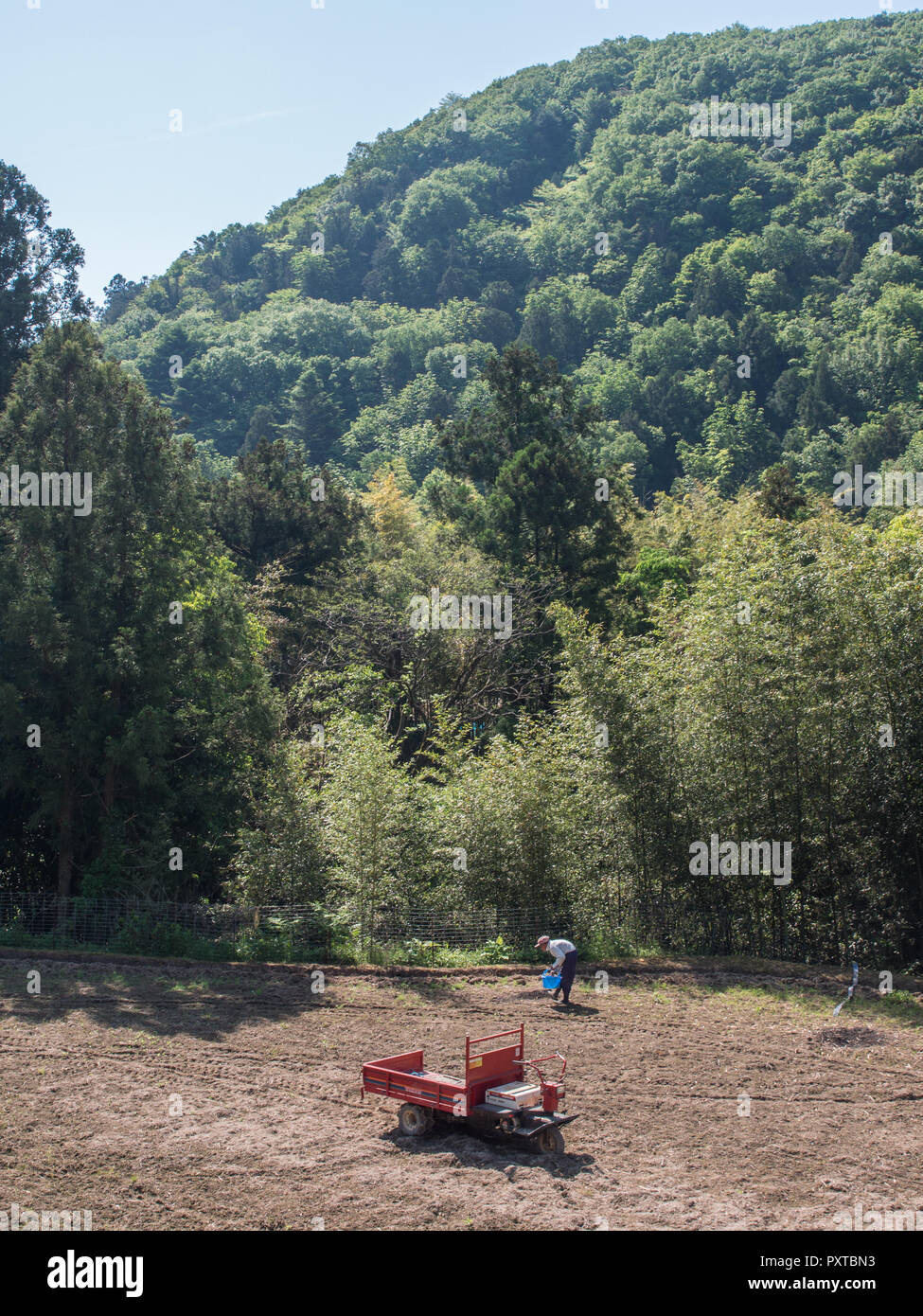 Japanese Agriculture High Resolution Stock Photography and Images - Alamy