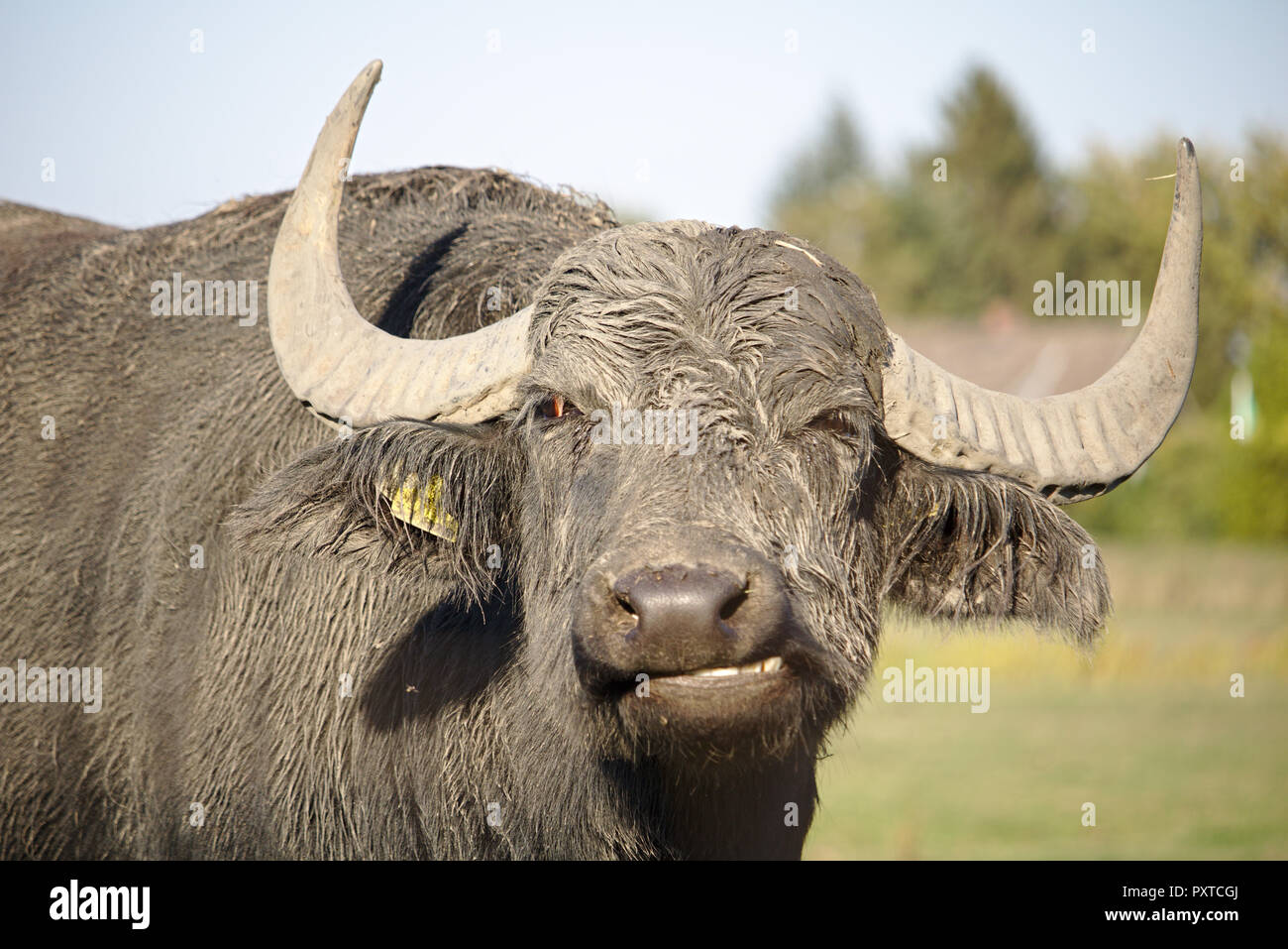 Rural asia portrait hi-res stock photography and images - Alamy