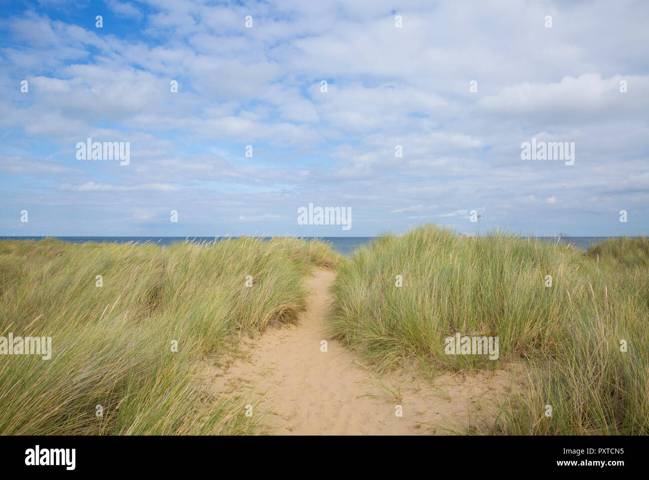 Holme dunes national nature reserve in norfolk hi-res stock photography ...