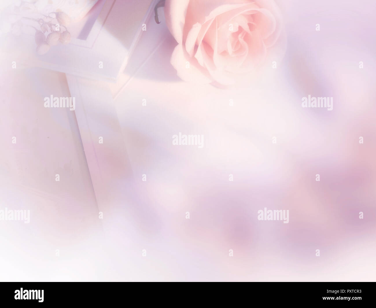 The romantic template background with flower and picture frame Stock ...