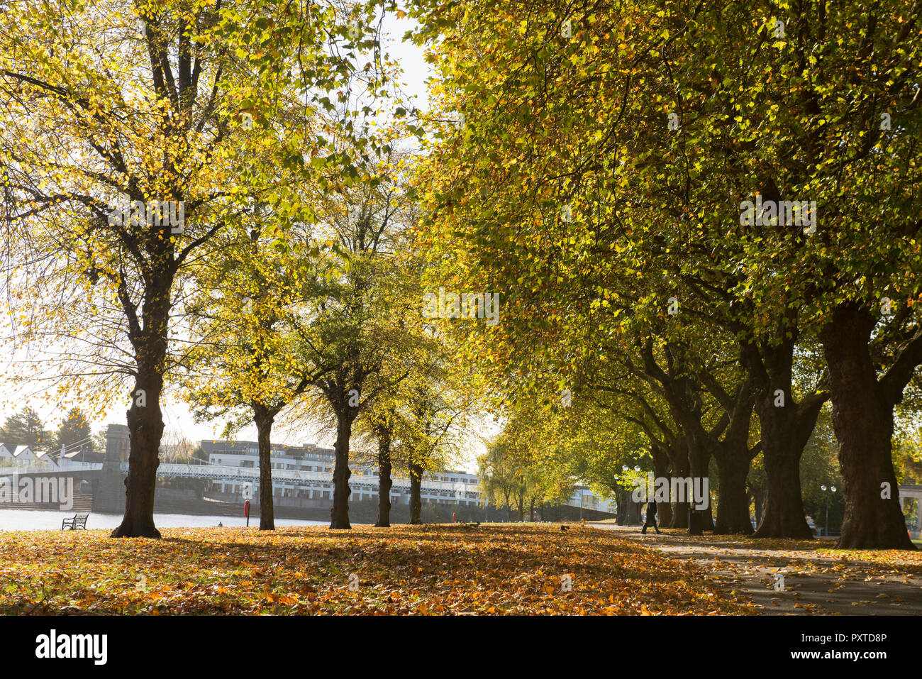Bright sunny day at Victoria Embankment in Nottingham, Nottinghamshire ...