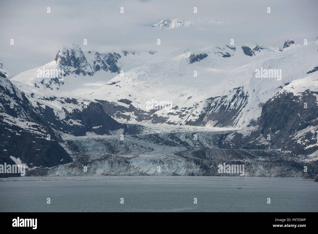 Johns Hopkins Glacier is a Tidewater glacier in the Glacier Bay ...