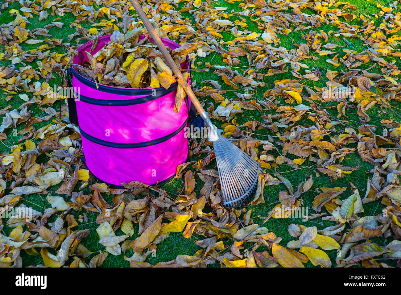 Sweeping autumn leaves hi-res stock photography and images - Alamy