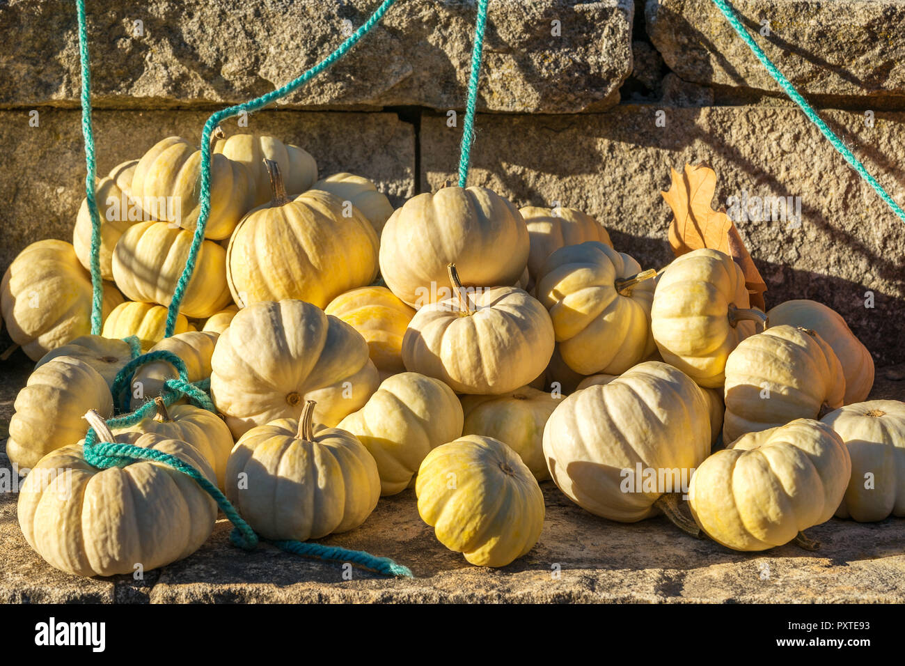 Medium sized objects hi-res stock photography and images - Alamy