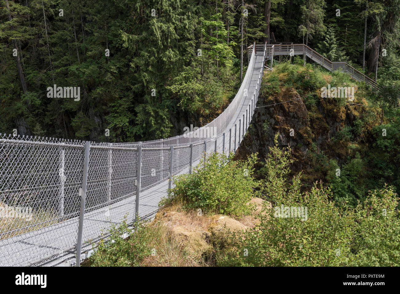 Elk Falls suspension bridge in Elk Falls Provincial Park spans the ...