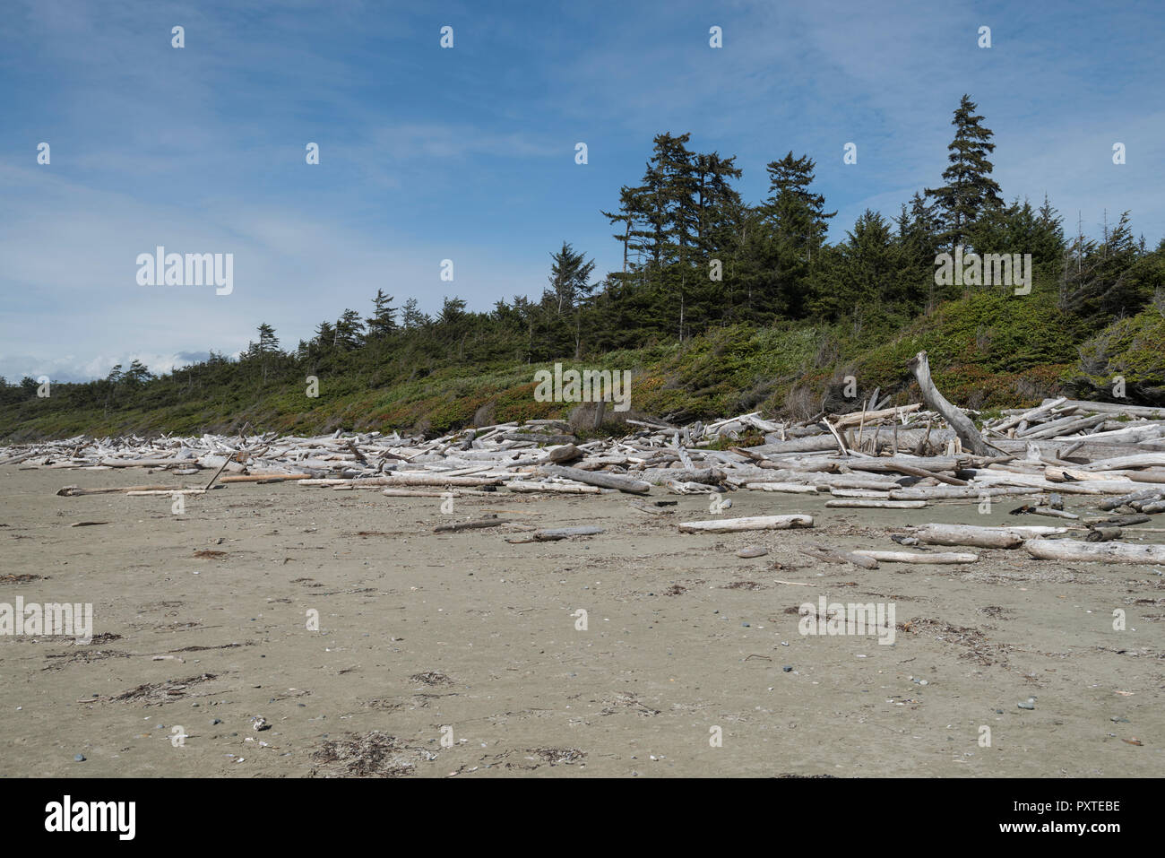 Vancouver island beach hi-res stock photography and images - Alamy
