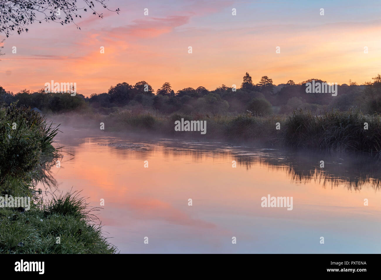 Misty morning on River Itchen Stock Photo - Alamy
