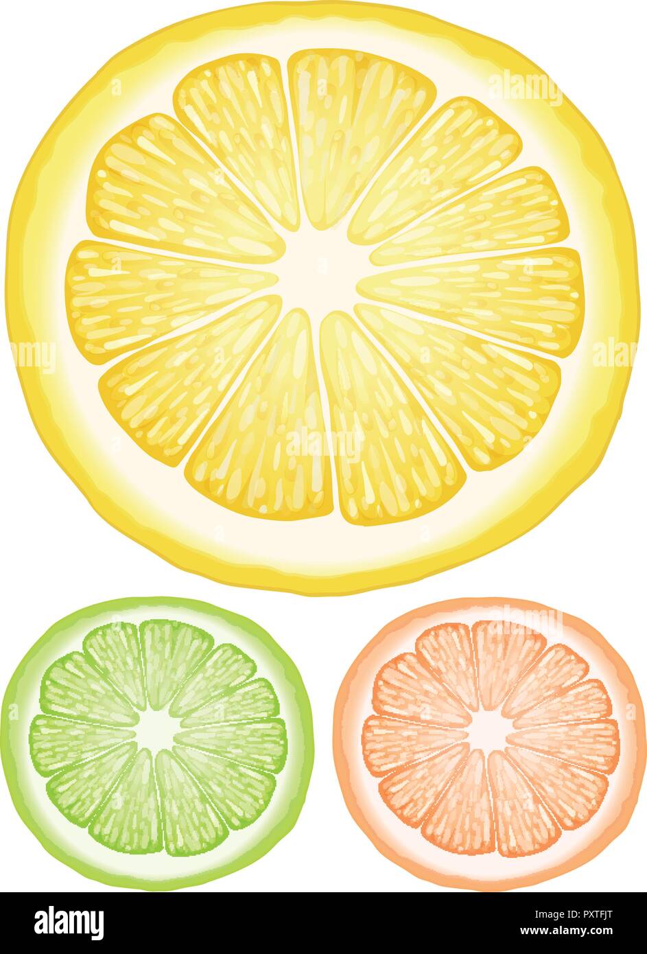 Three slices of lemon in different colors illustration Stock Vector ...