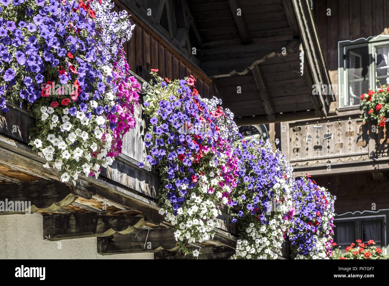 Balkonblumen hi-res stock photography and images - Alamy