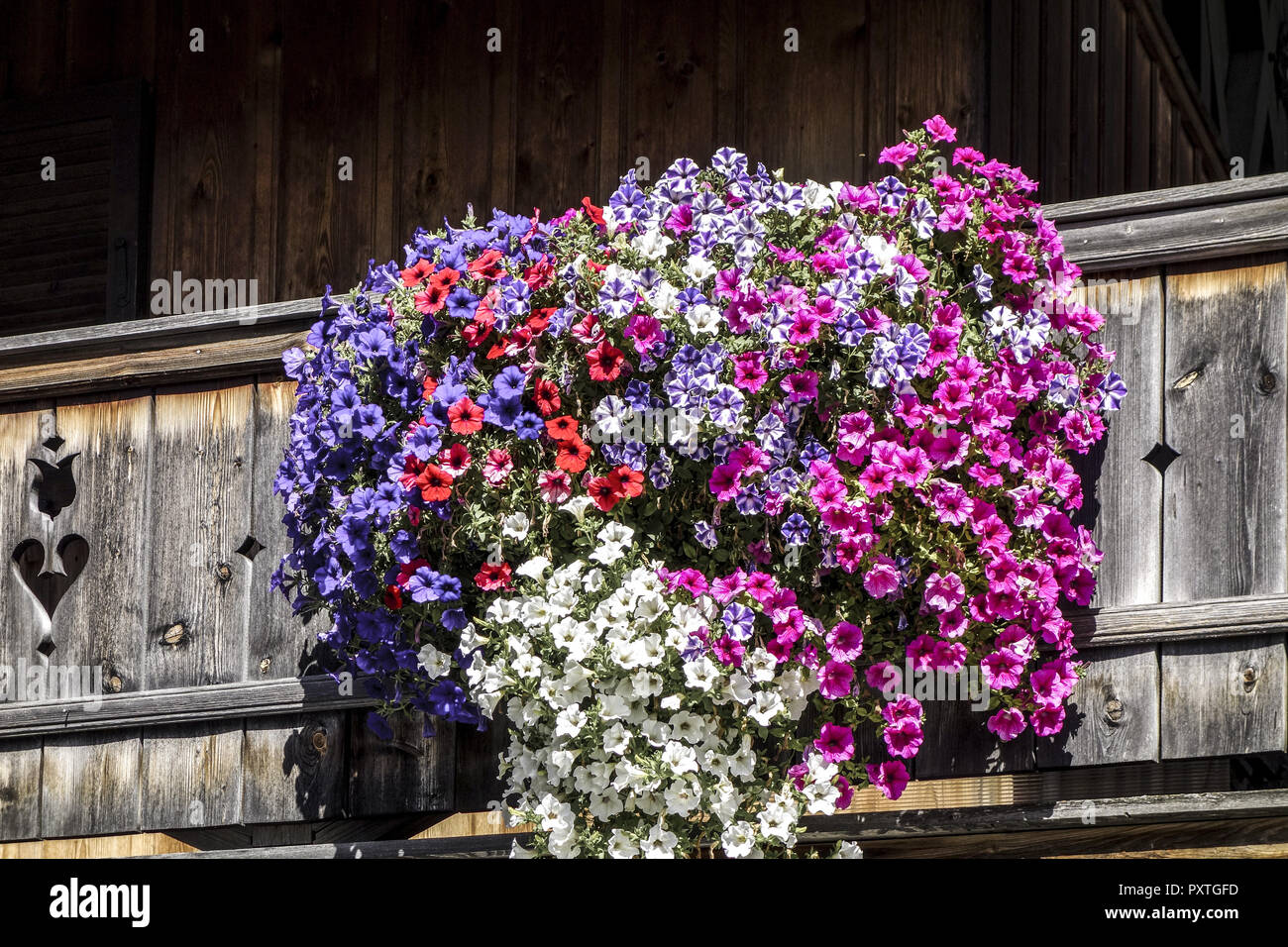 Balkonblumen hi-res stock photography and images - Alamy