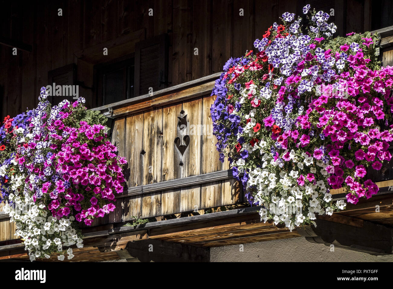 Kochel am See, Kochelsee, Balkonblumen an einem Bauernhaus, Bayern ...