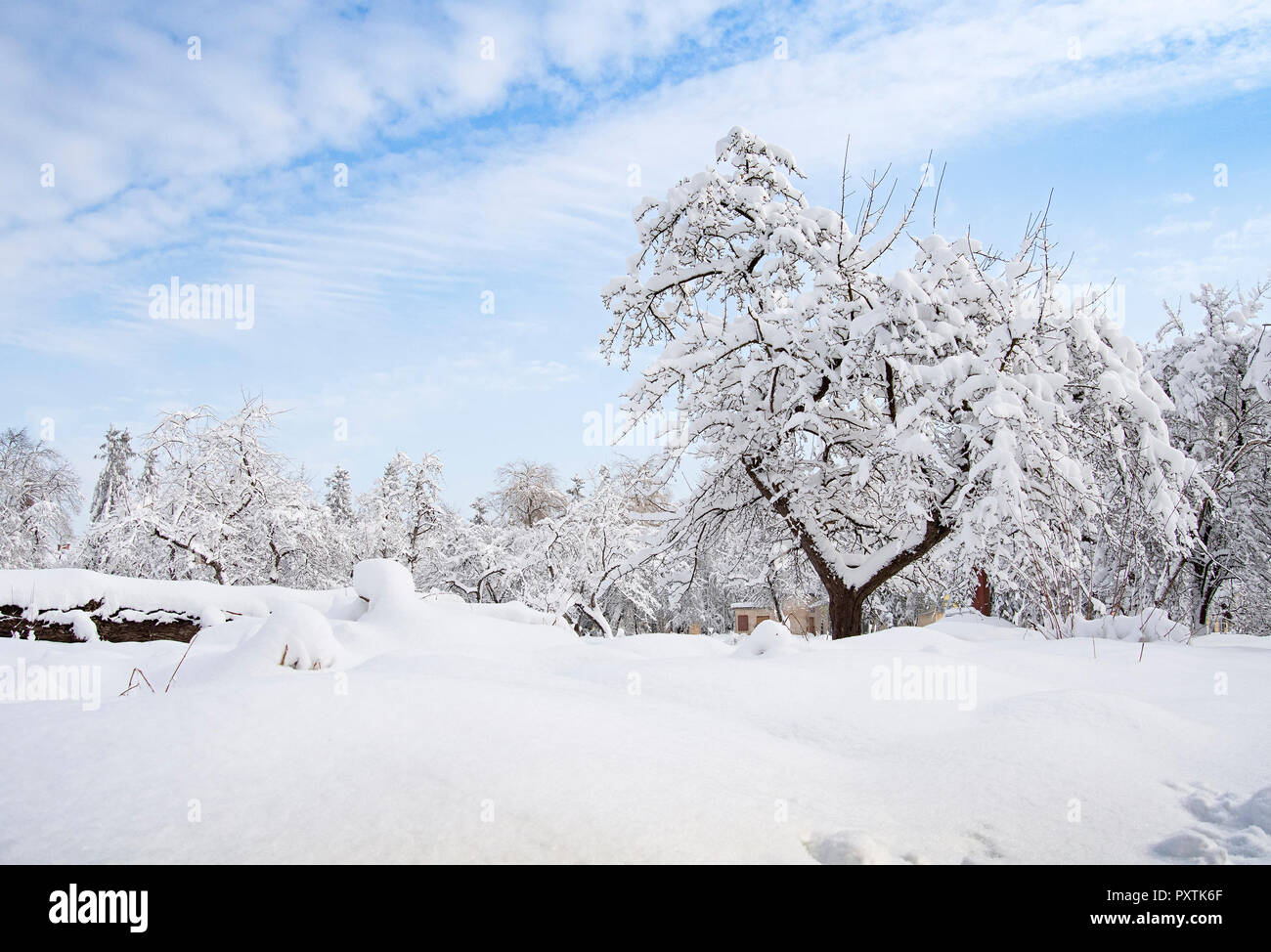 Winter garden scene hi-res stock photography and images - Alamy