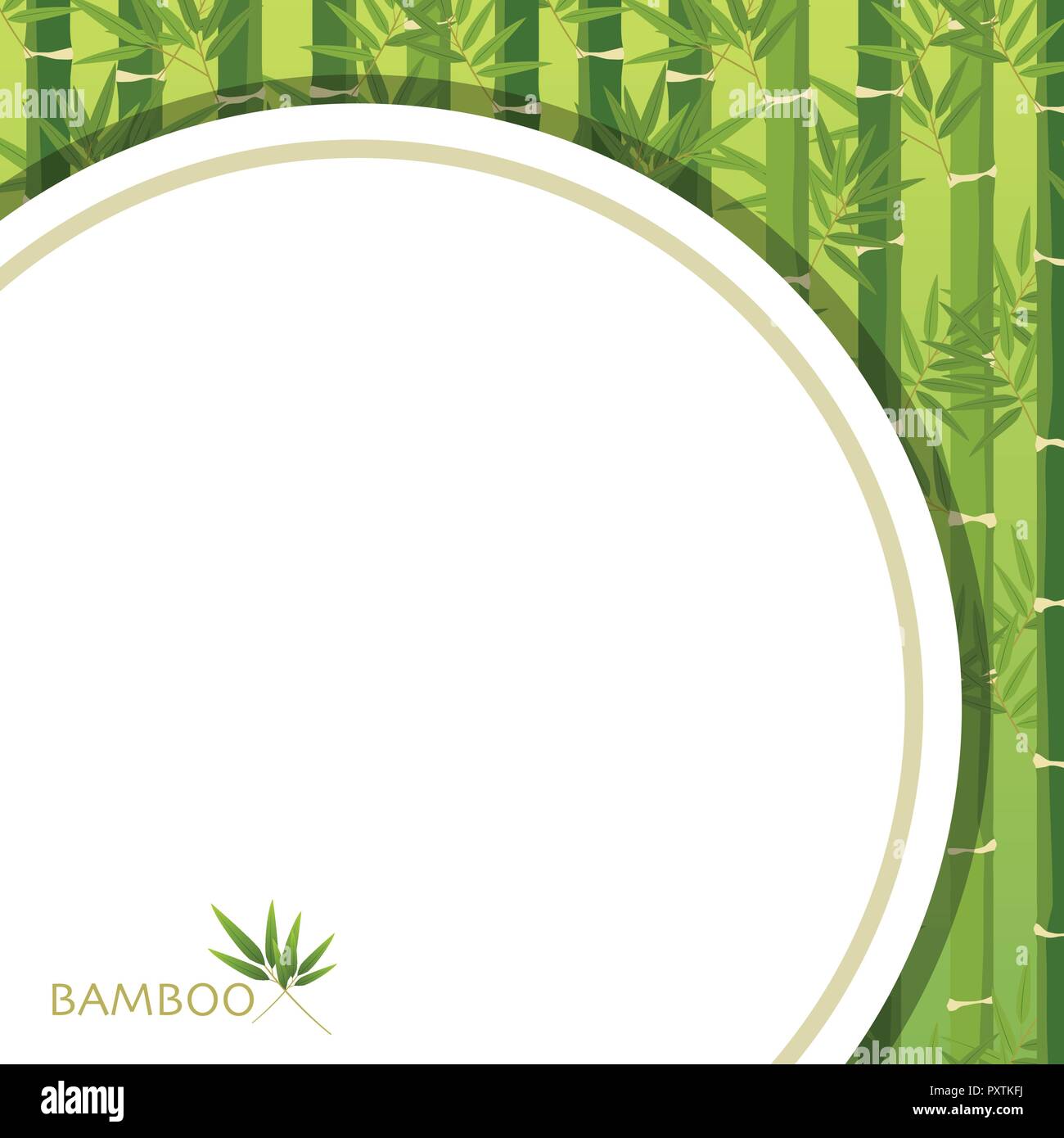A Green Bamboo Background Template illustration Stock Vector Image ...