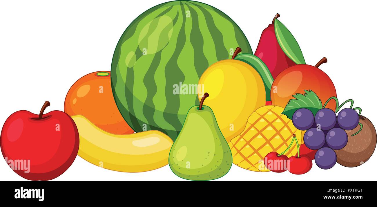 Different types of fruits on white background illustration Stock Vector ...