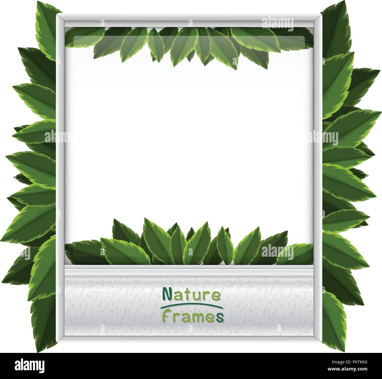 Photoframe with green leaves illustration Stock Vector Image & Art - Alamy