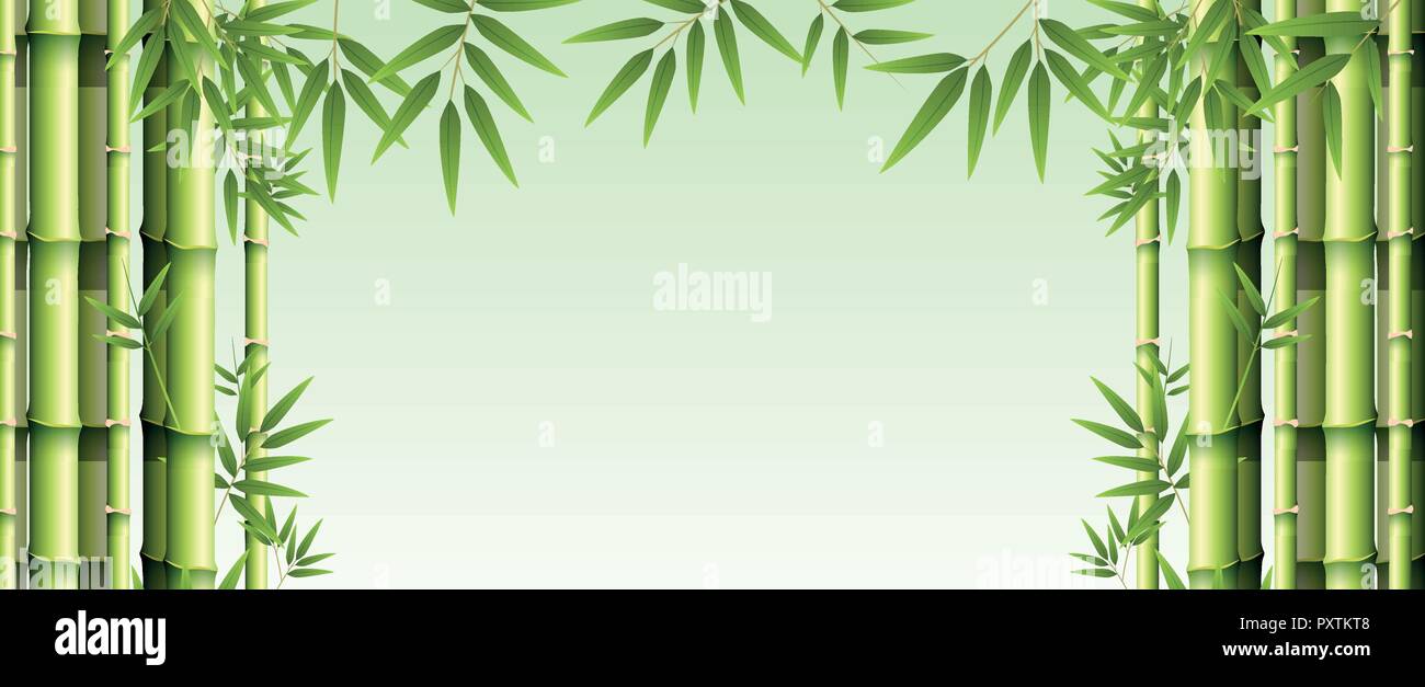 Background template with green bamboo illustration Stock Vector Image ...