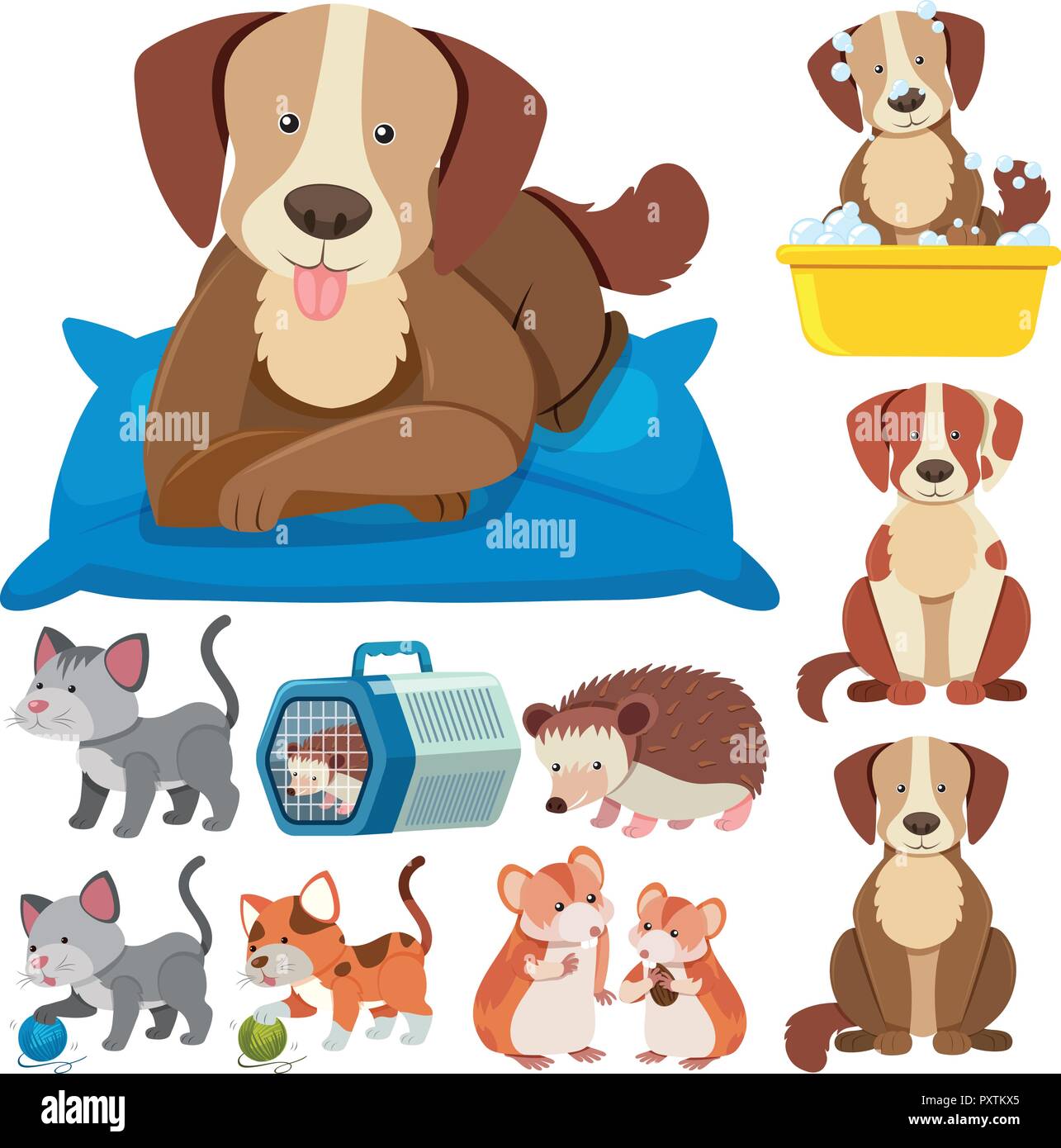 Cute Pets on White Backgroud illustration Stock Vector Image & Art - Alamy