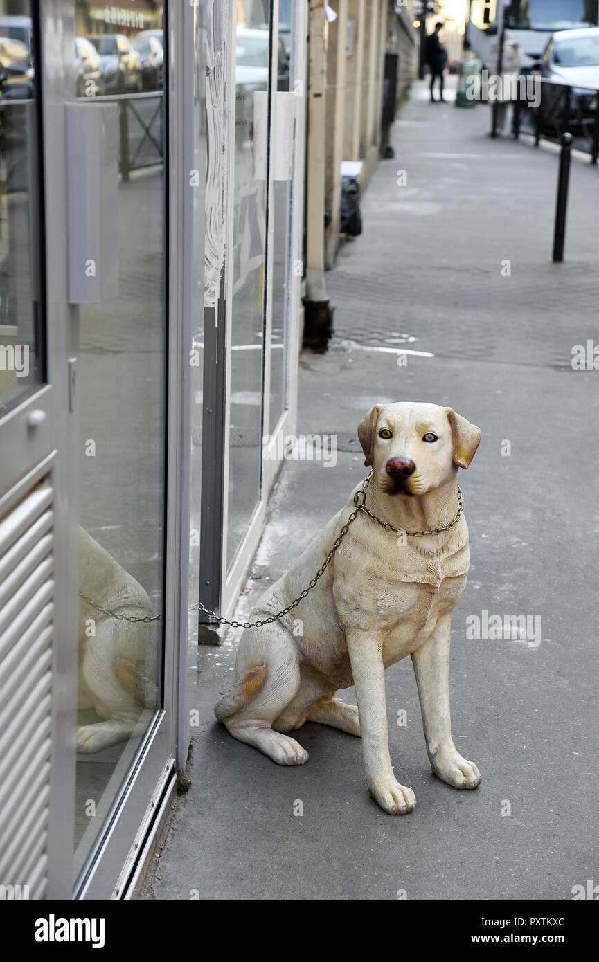 Fake shop front hi-res stock photography and images - Alamy