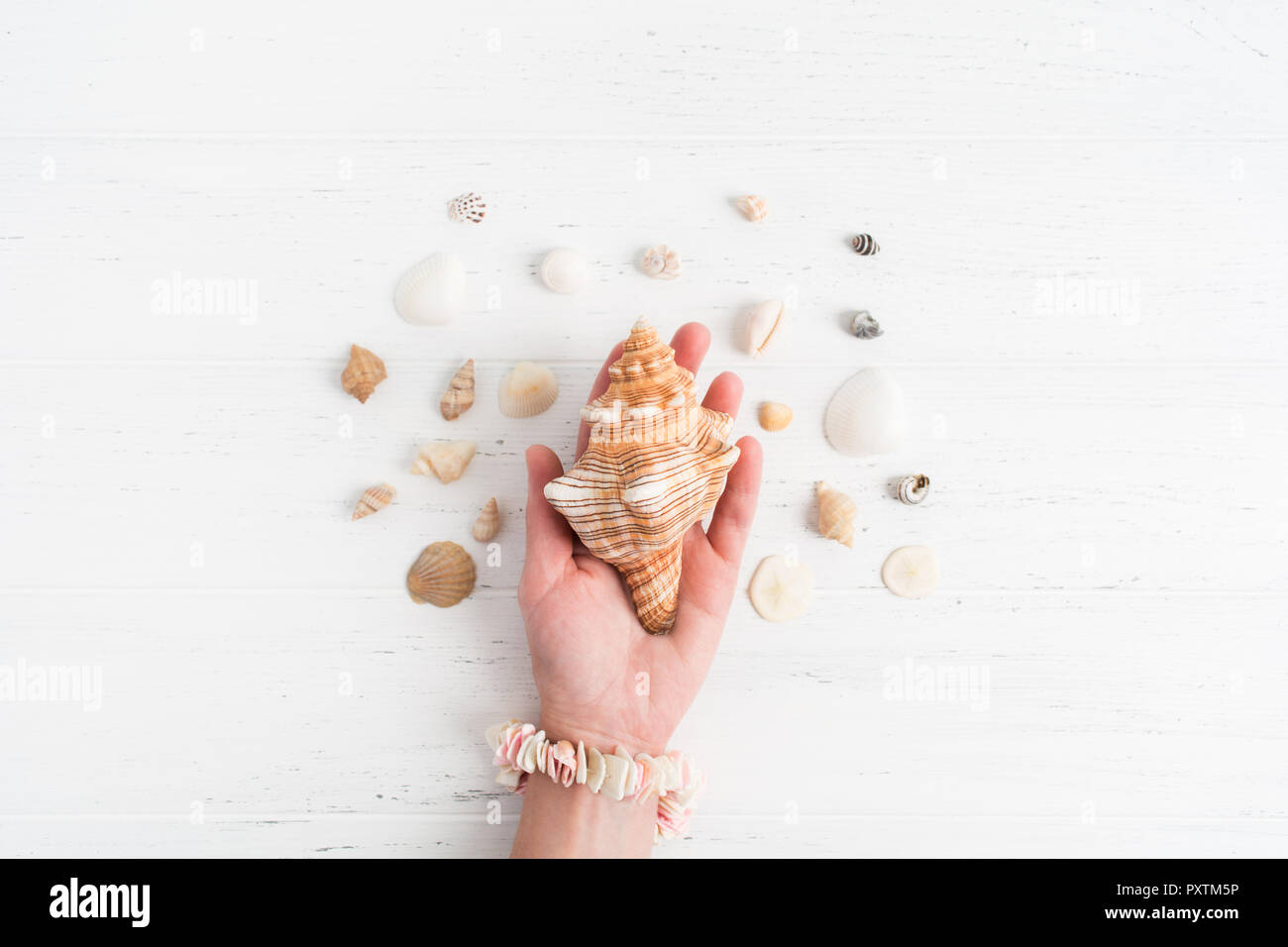 A big shell in the female hand with small various shells around, flat ...