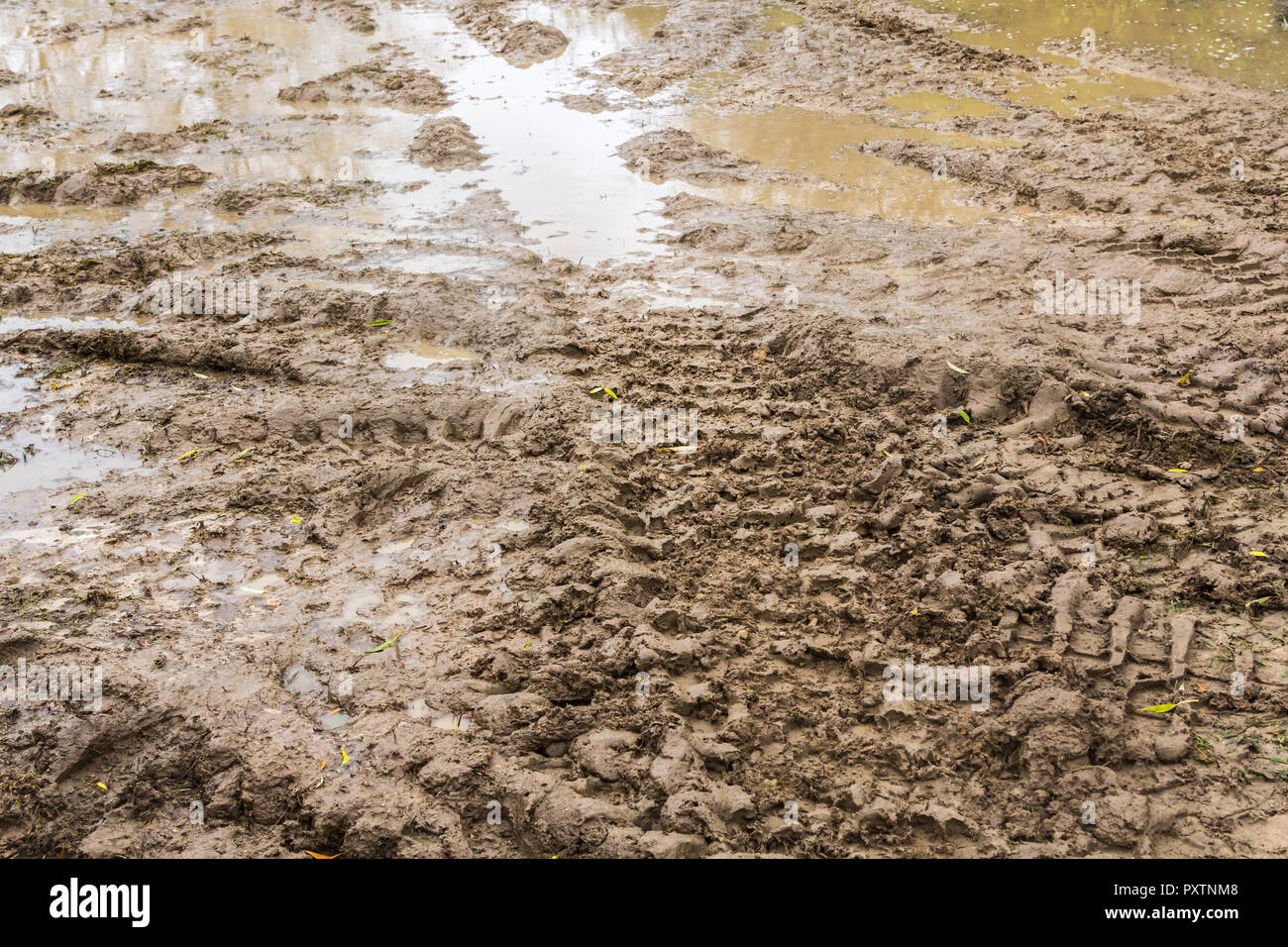 Tire tracks on a wet muddy road, abstract background Stock Photo - Alamy