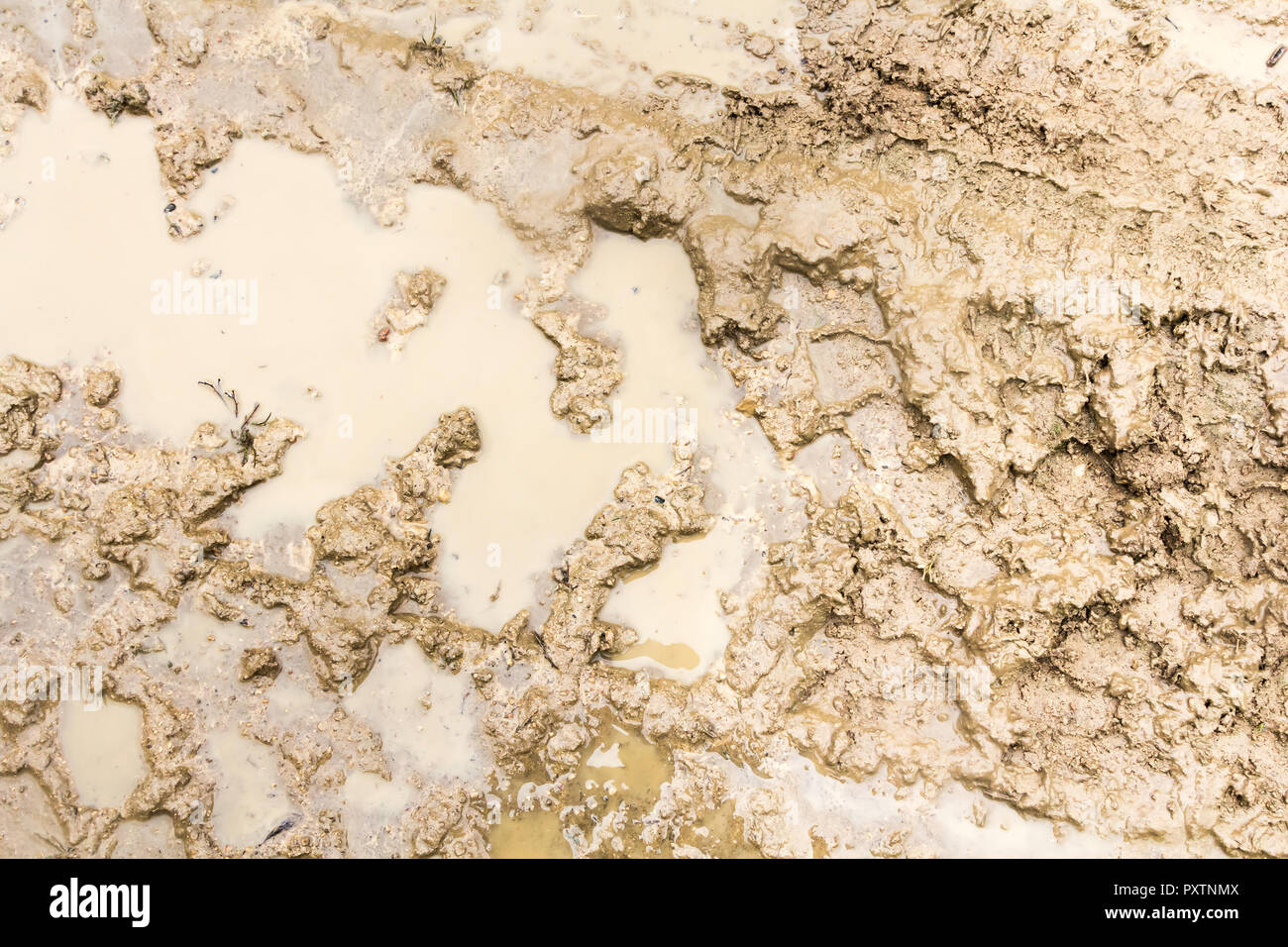 Tire tracks on a wet muddy road, abstract background Stock Photo - Alamy