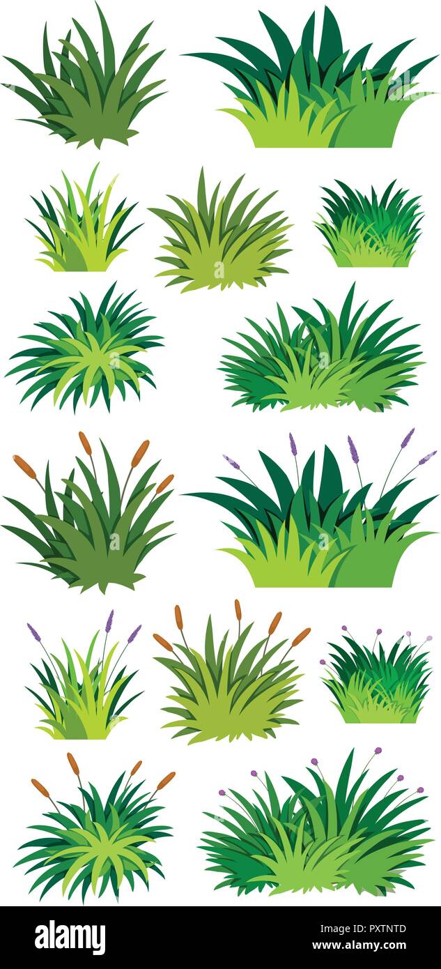 Different pattern of green grass illustration Stock Vector Image & Art ...