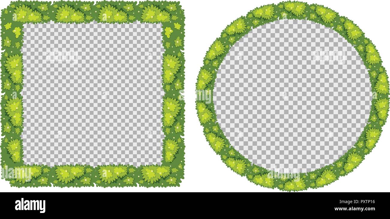 Two grass frames on white background illustration Stock Vector Image ...