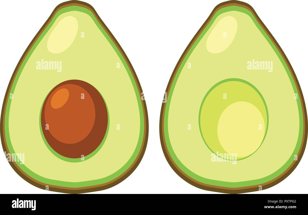 Fresh avocado cut in half illustration Stock Vector Image & Art - Alamy