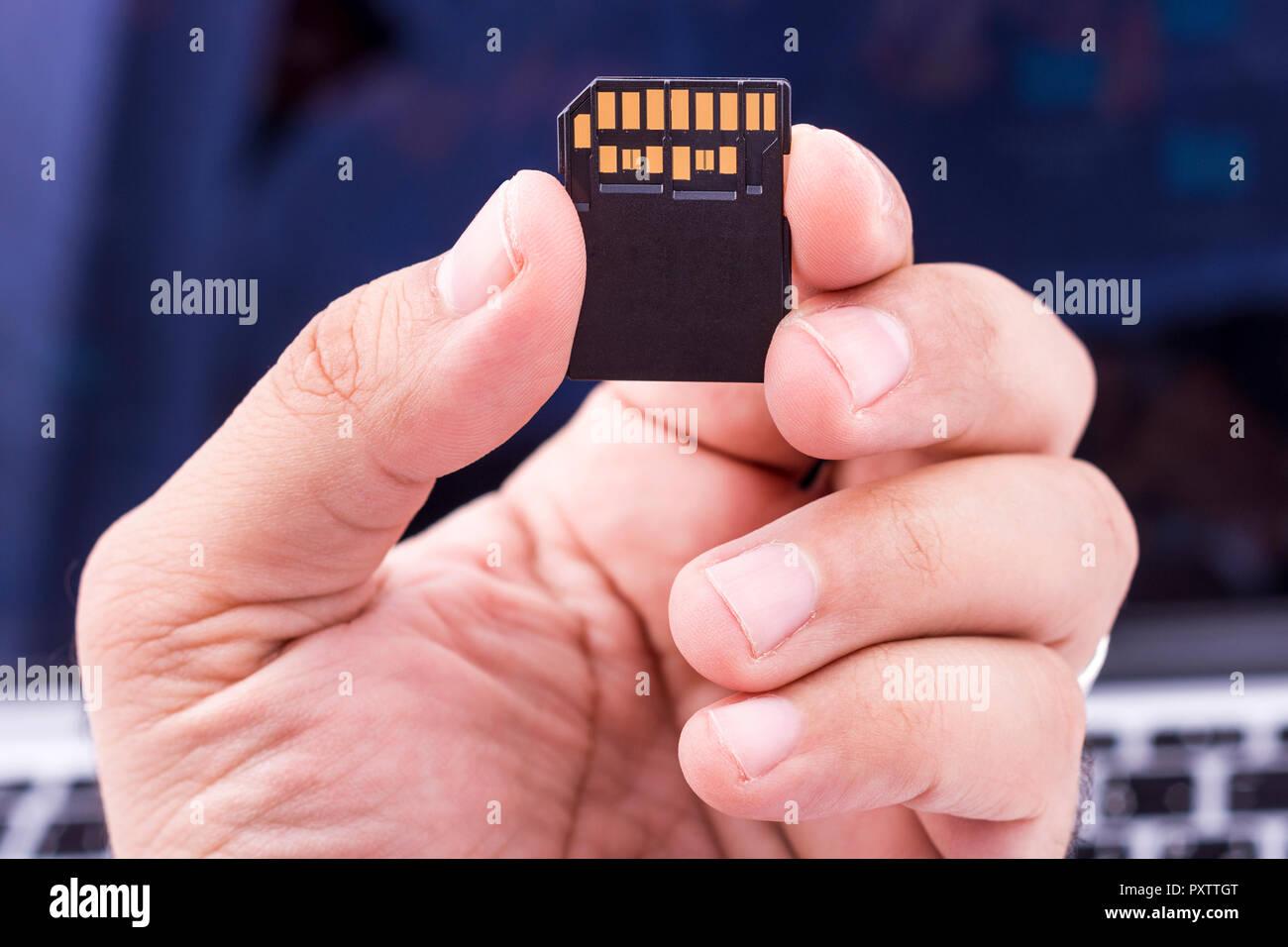 Fast SD memory card holding by fingers Stock Photo - Alamy