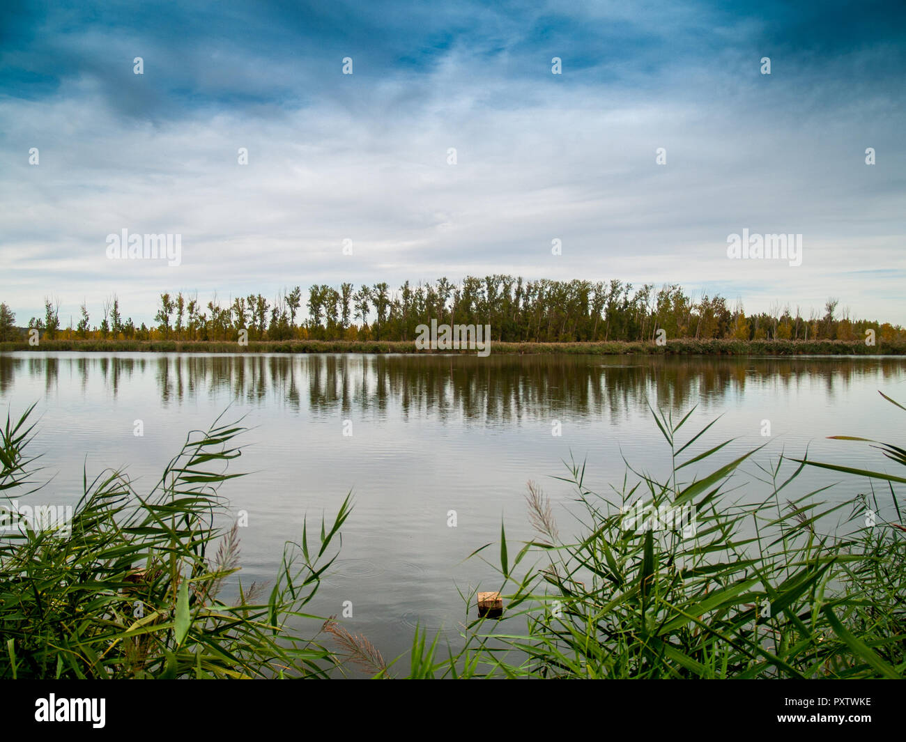 Mirror effect in water hi-res stock photography and images - Alamy