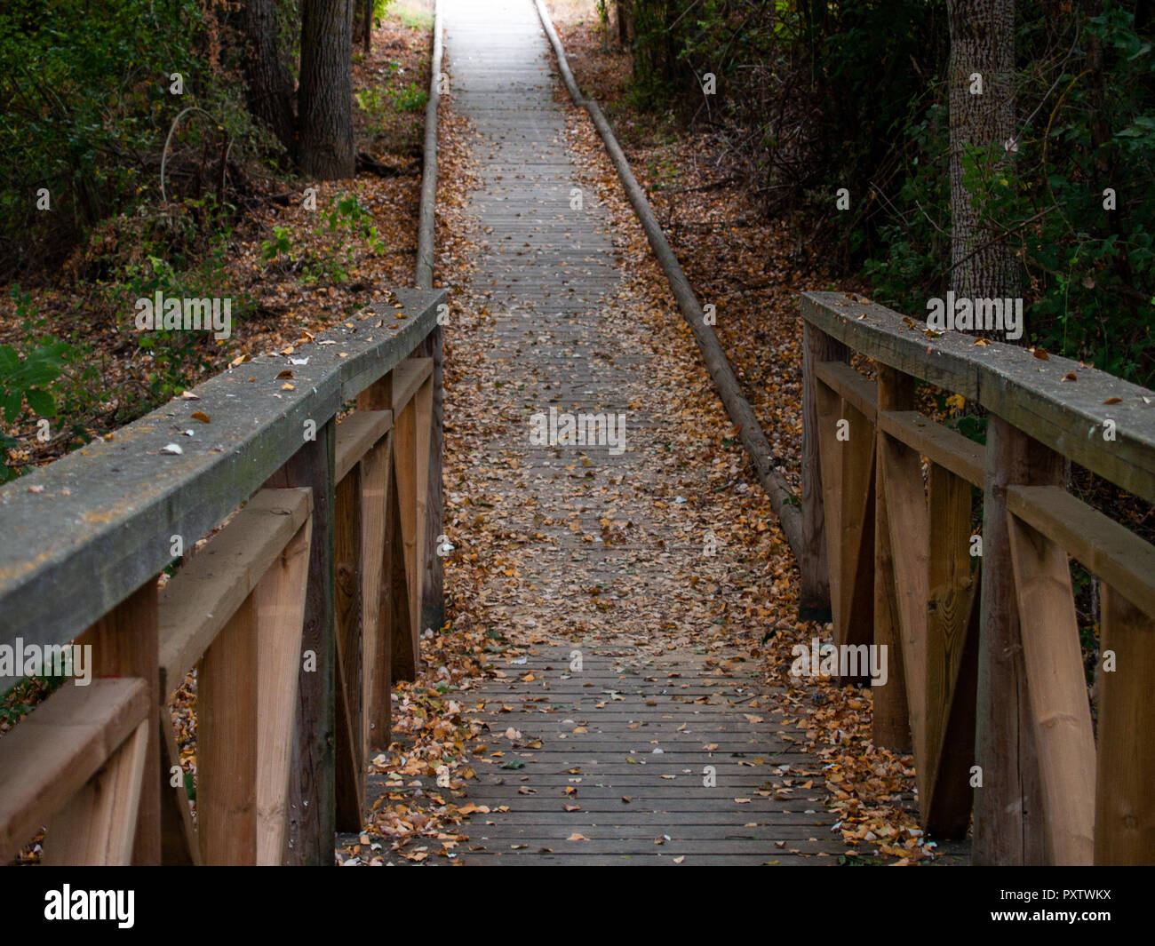 Wooden handrails hi-res stock photography and images - Alamy