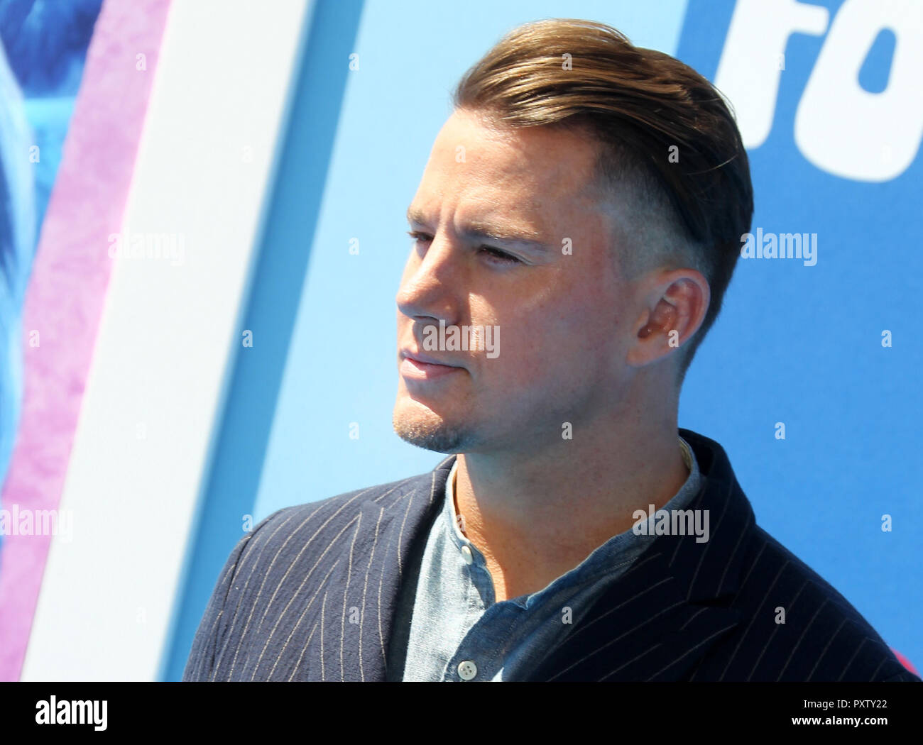 Los Angeles premiere of 'Smallfoot' - Arrivals Featuring: Channing ...