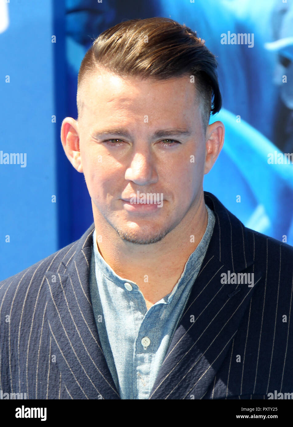 Los Angeles premiere of 'Smallfoot' - Arrivals Featuring: Channing ...