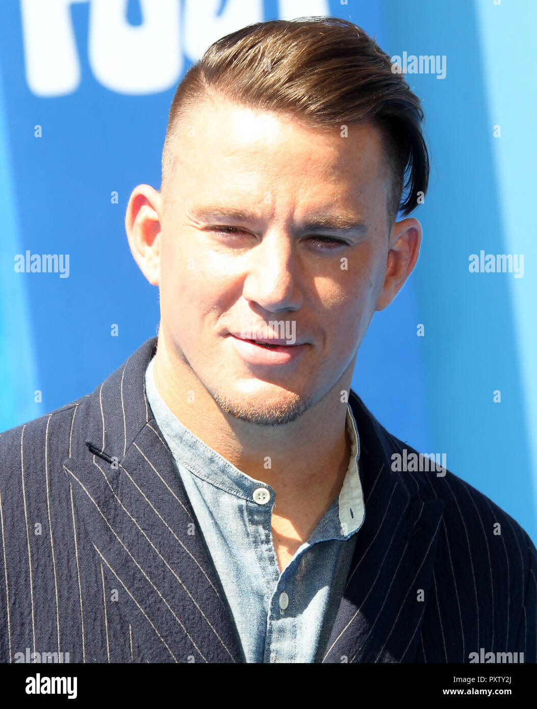 Los Angeles premiere of 'Smallfoot' - Arrivals Featuring: Channing ...