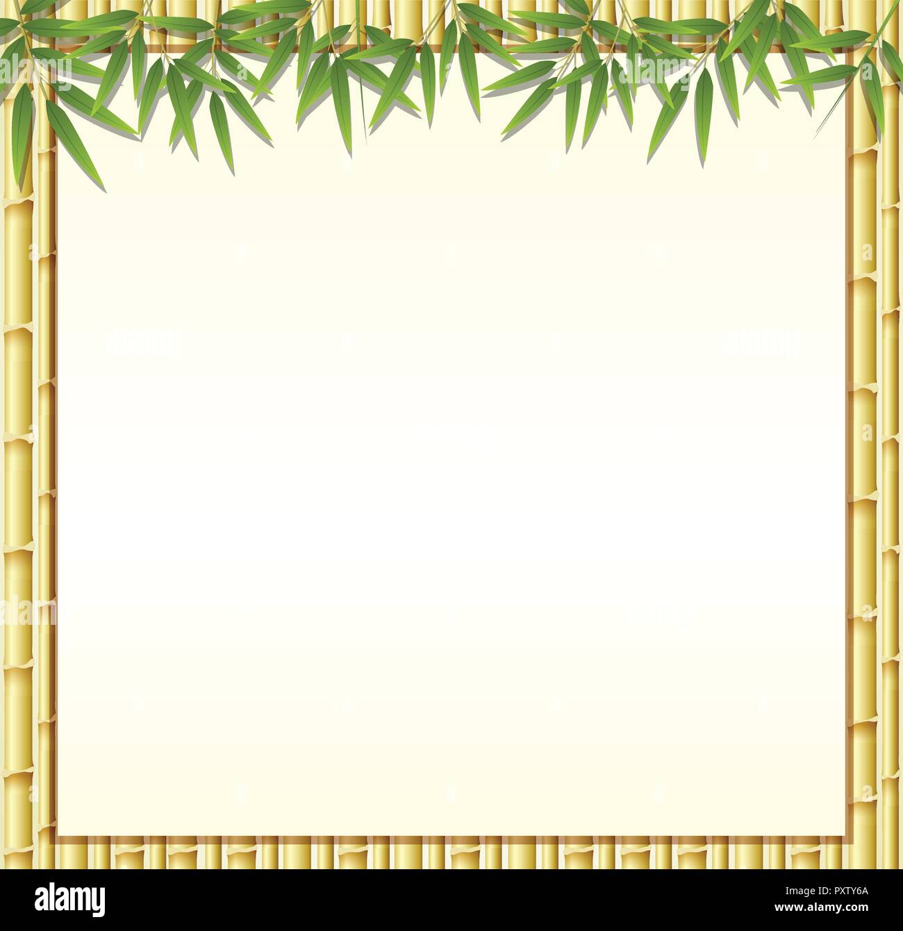 Bamboo Border Vector
