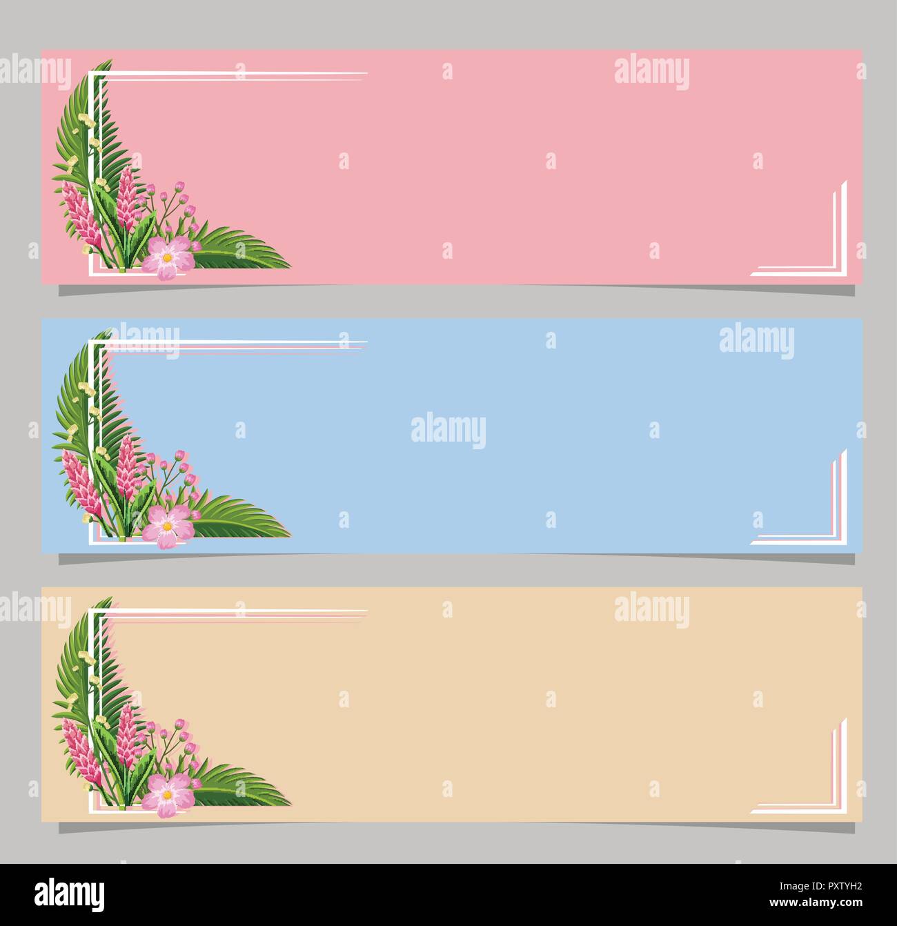 Three banners with pink flowers illustration Stock Vector Image & Art ...