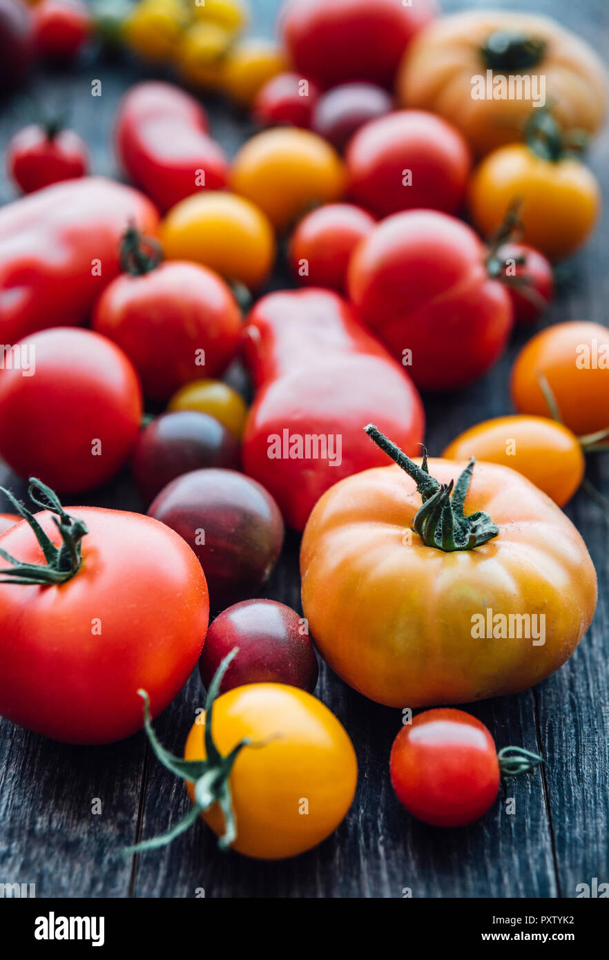 Different coloured tomatoes hi-res stock photography and images - Alamy