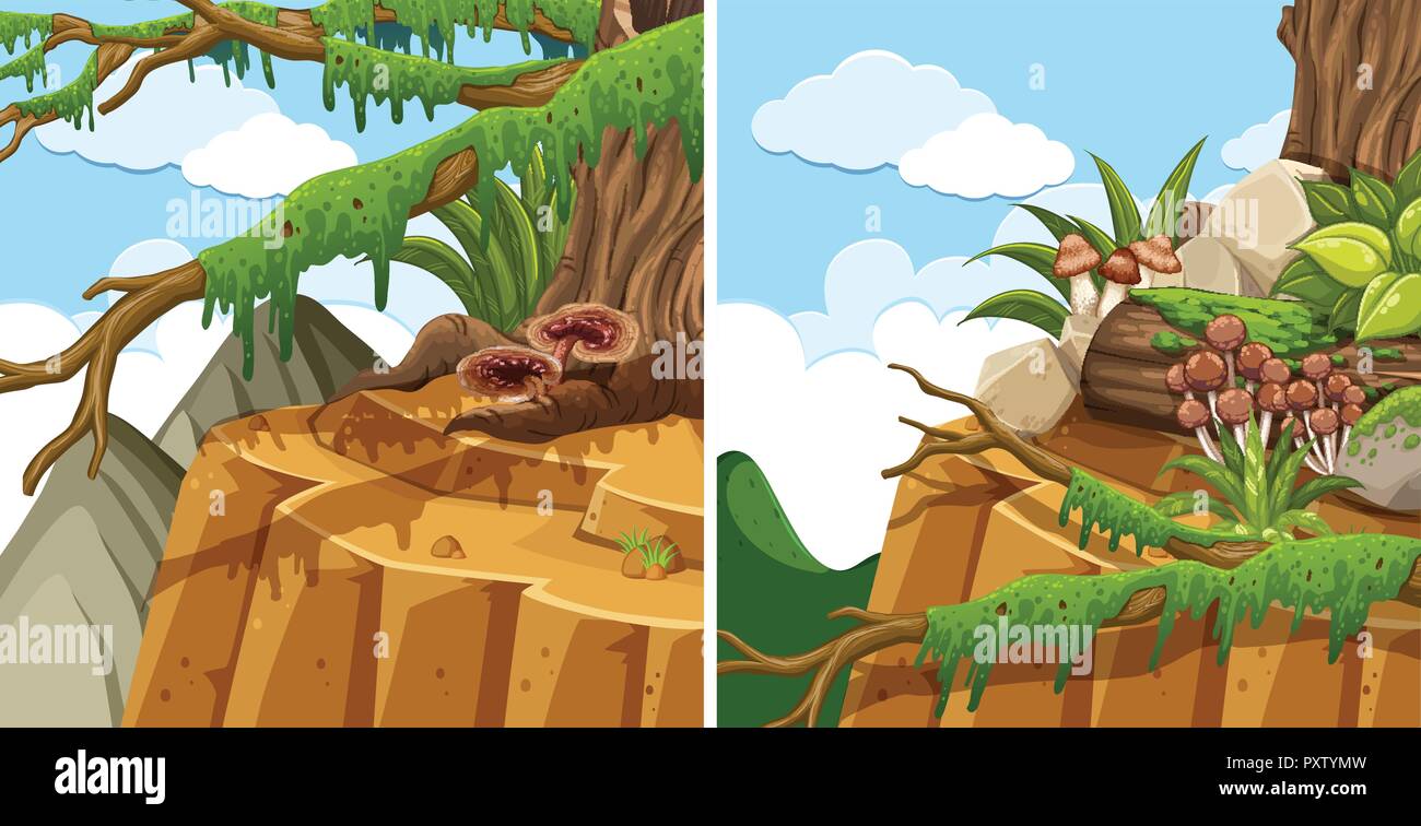 Cliff moss Stock Vector Images - Alamy