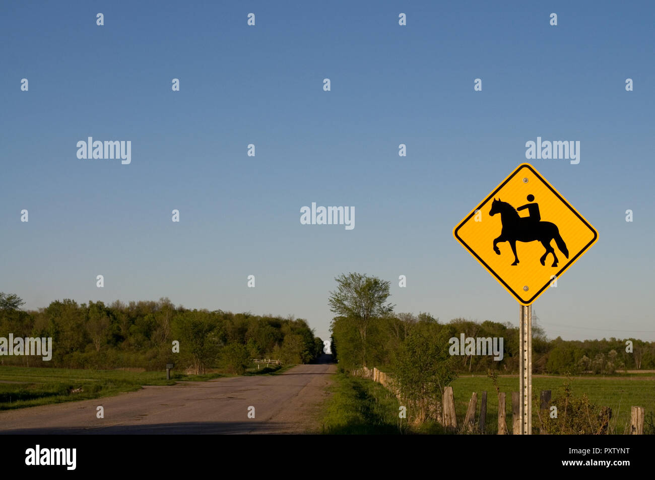 Yellow Horse Crossing Sign on a Rural Road Stock Photo - Alamy