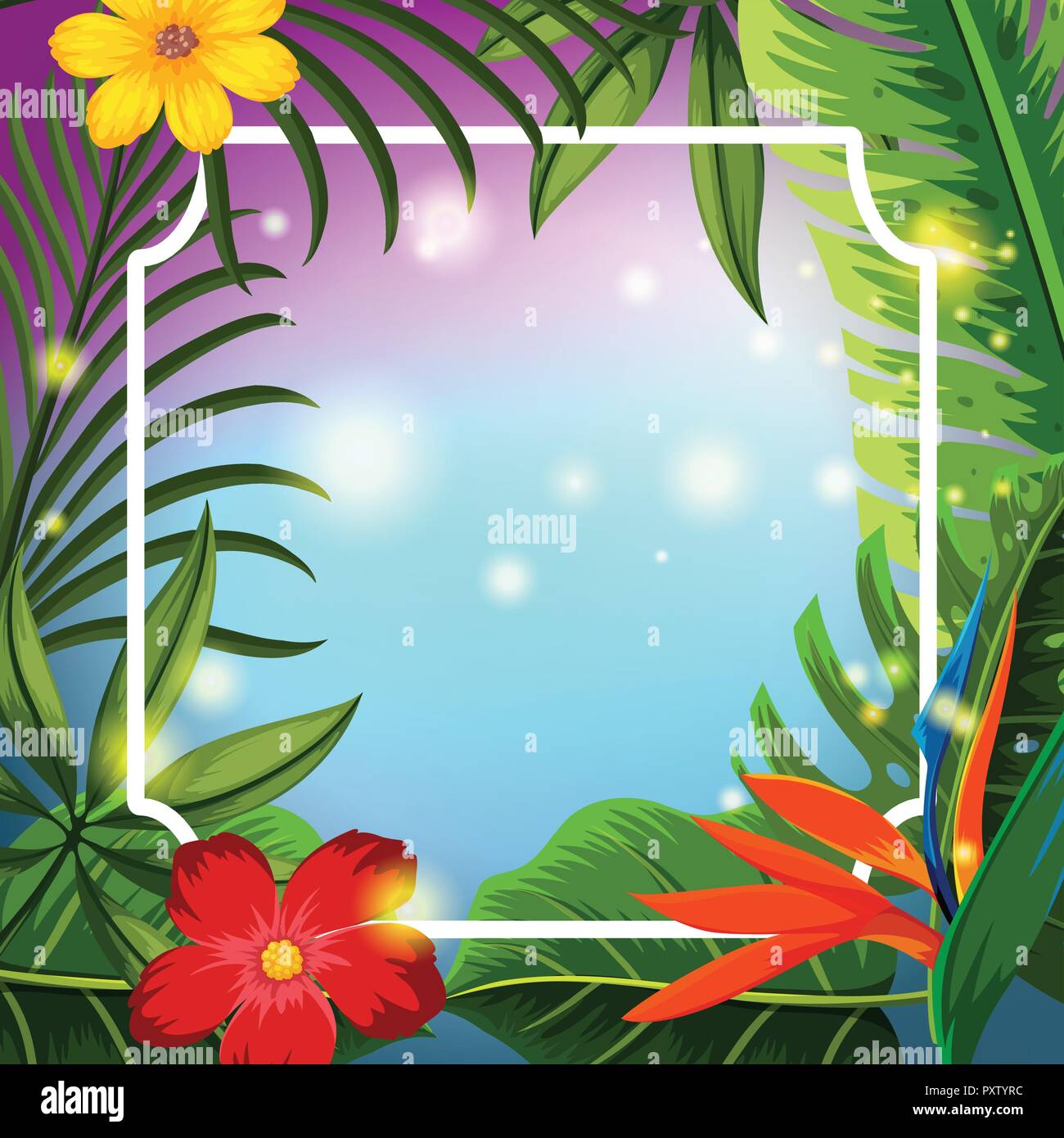 Tropical Border Vector