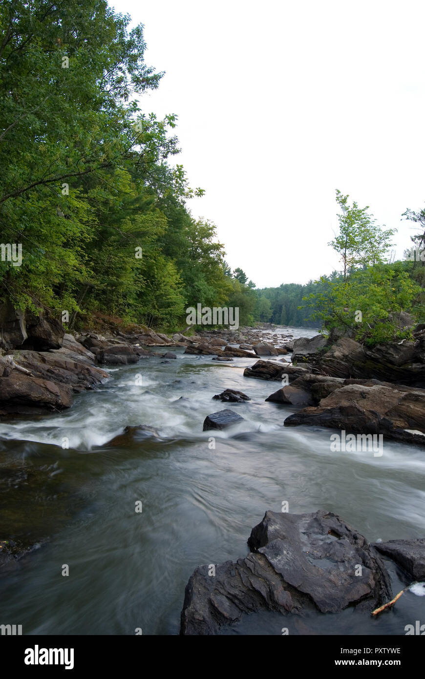 Beautiful River with Rapids in the Forest Vertical Stock Photo - Alamy